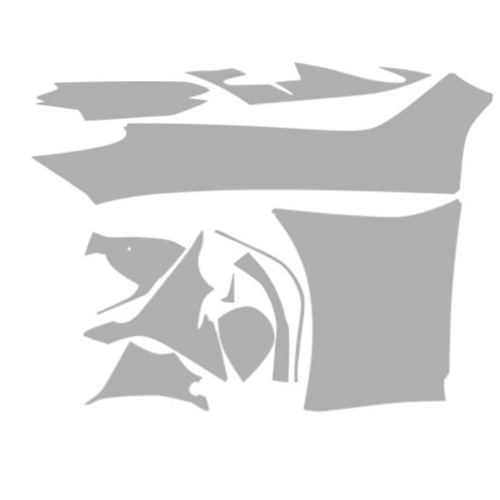 Vicrez Paint Protection PPF Pre-Cut Fenders/Mirrors Full, Driver ...